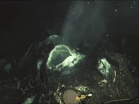 Seattle Baristas Can Now Monitor the Active Deep Sea Volcano Only 300 ...