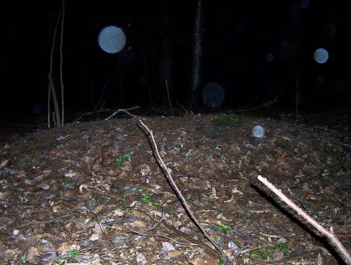 Debunking the Optics of Ghostly Sightings