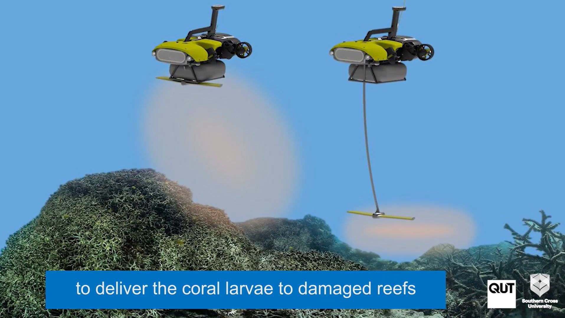 Watch This Video of Robots Helping Coral Reefs Have Sex