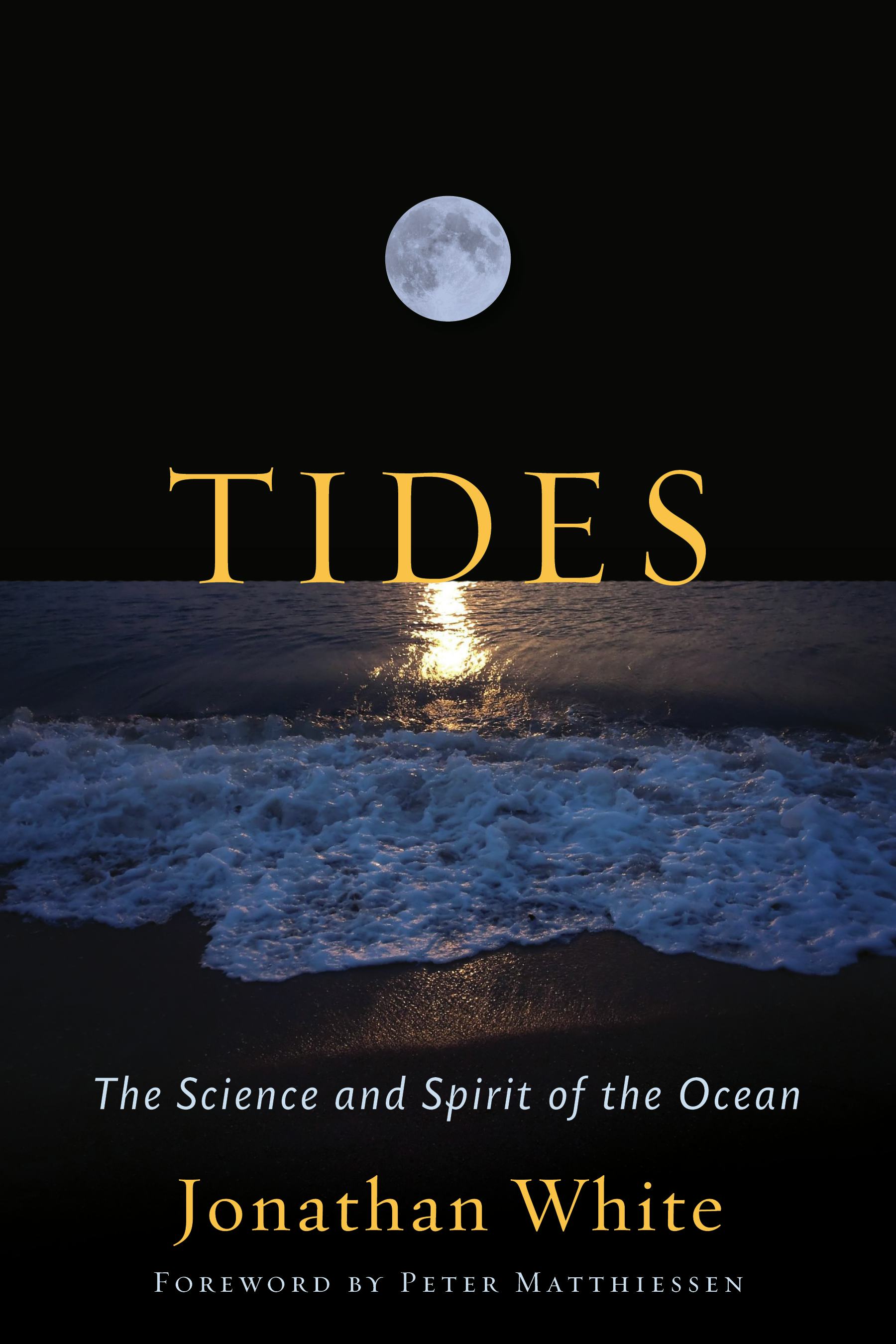 An Excerpt from 'Tides: The Science and Spirit of the Ocean'