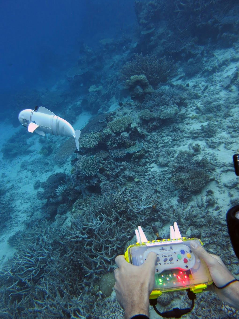 This MIT-Made Robot Fish Will Study the World's Fragile Coral Reefs