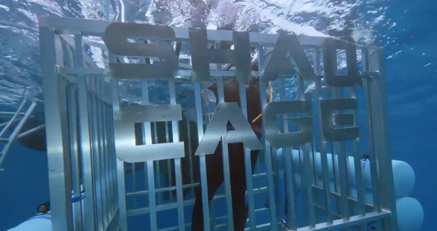 How Shaq Used Exposure Therapy to Successfully Beat His Phobia of Sharks