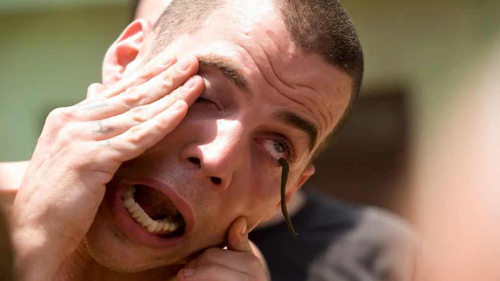 What Does Fear Smell Like? Actually, Nothing At All