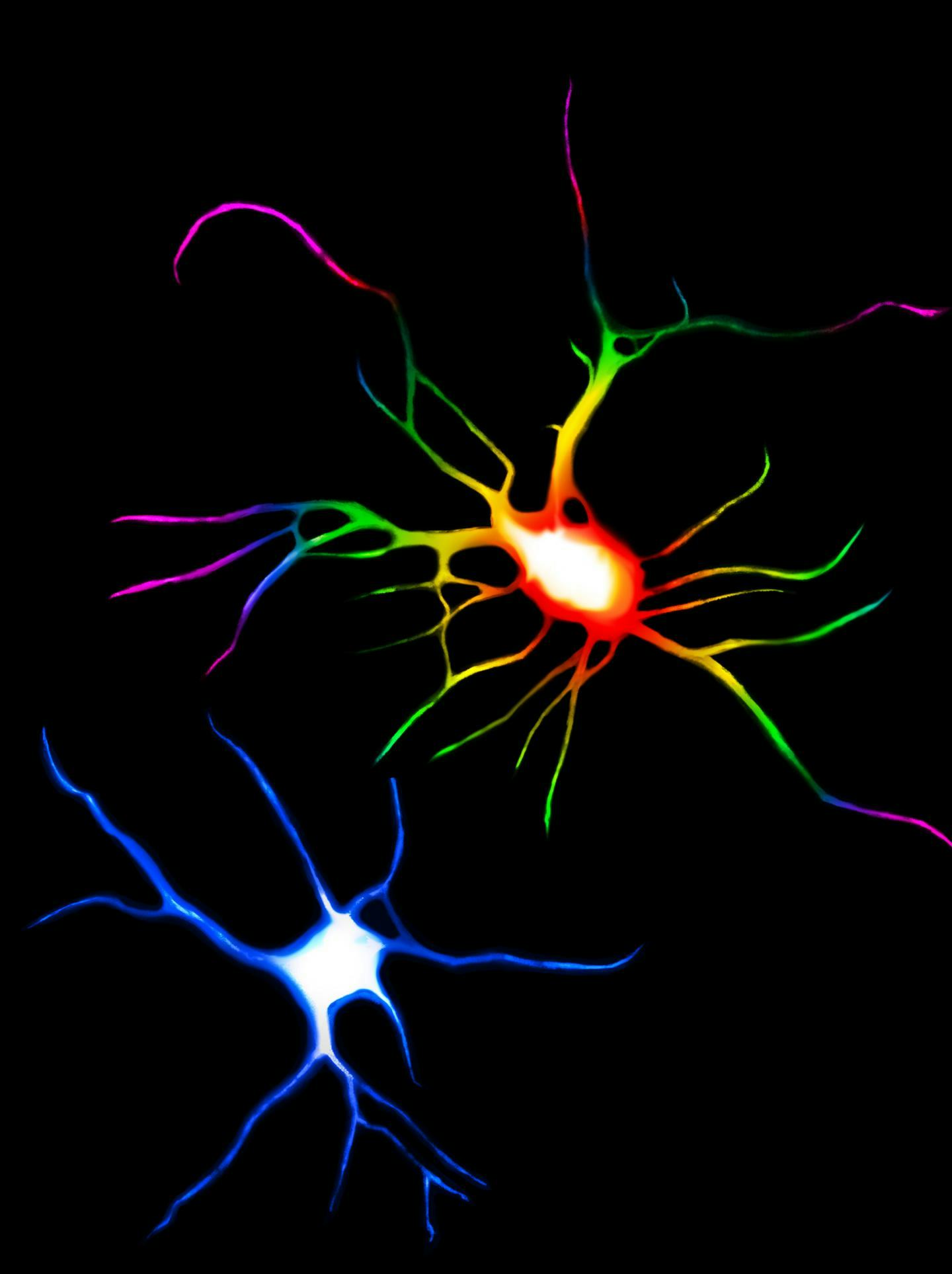 Psychedelic Drugs LSD and DMT Reshape Neurons, Showing Healing Potential