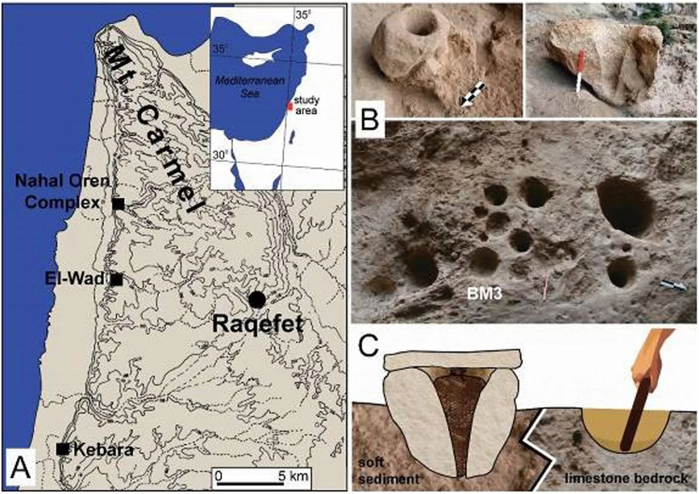 Oldest Beer Brewing Evidence Found in Ancient Israeli Cave