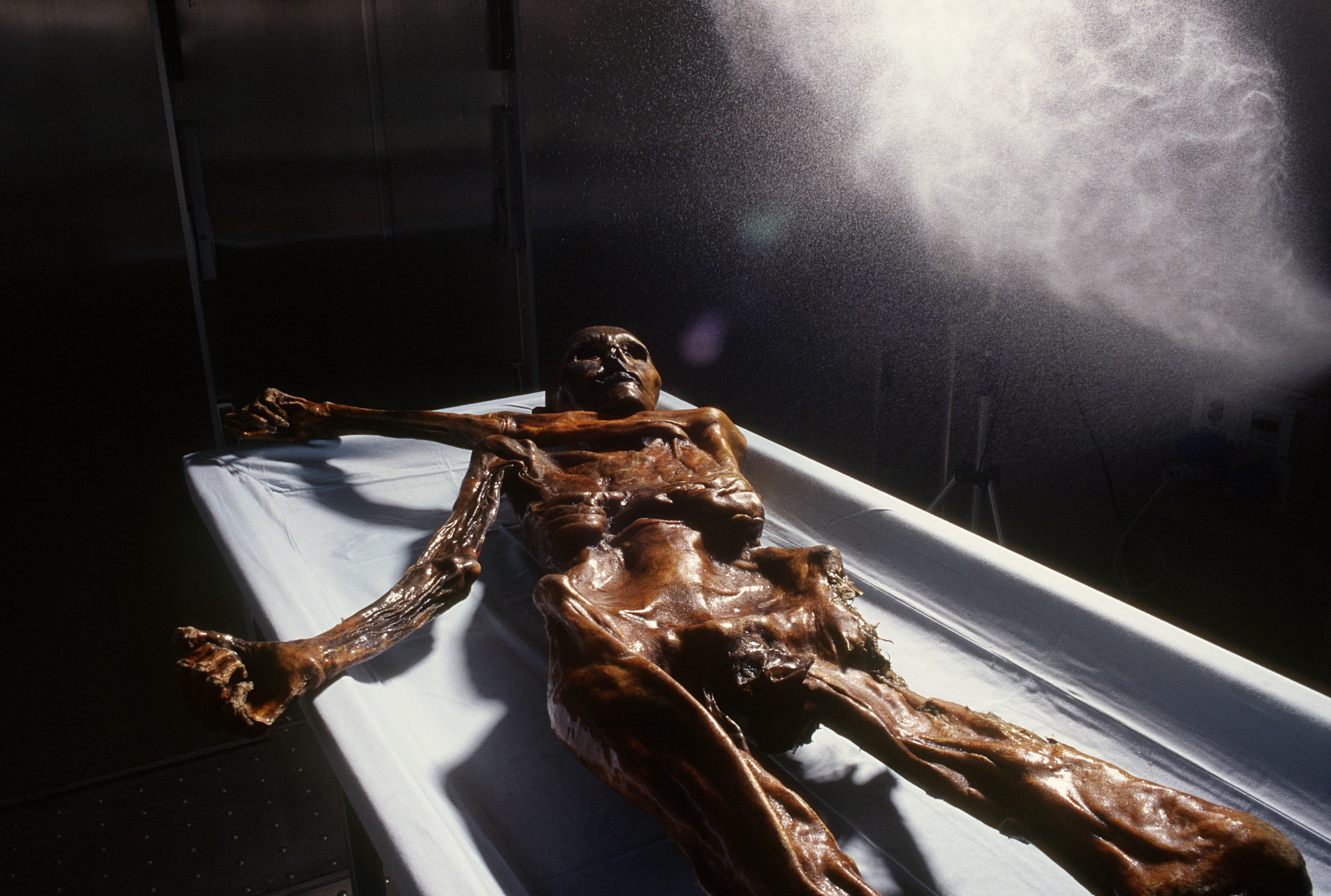 3D Printing Gives Ötzi the Iceman a Plastic and Resin Clone