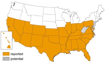 Chagas Disease: American Heart Association Warns Doctors to Be Vigilant