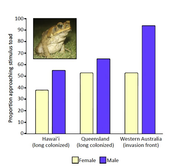 Loner Study Outlines the Reasons Social Isolation Isn’t a Problem