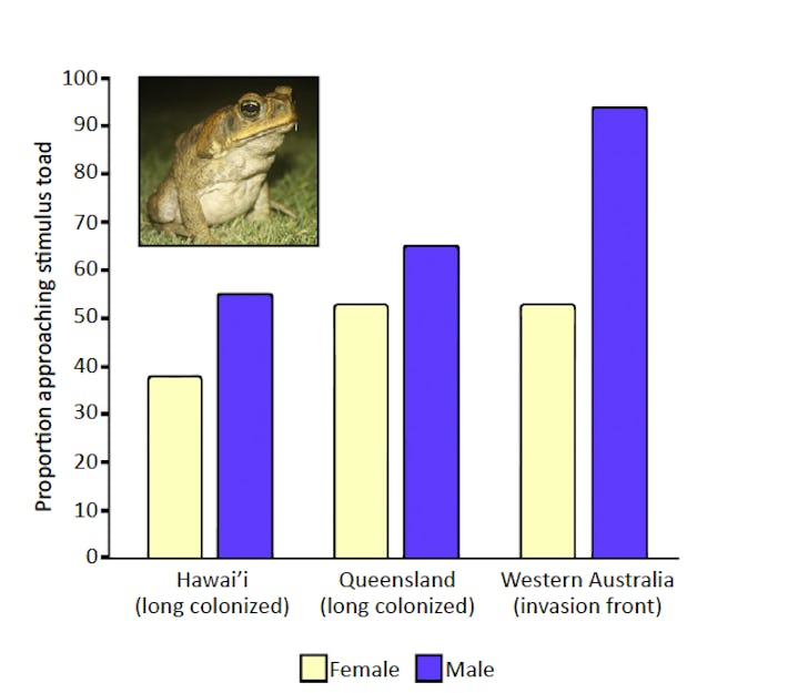 Loner Study Outlines the Reasons Social Isolation Isn’t a Problem
