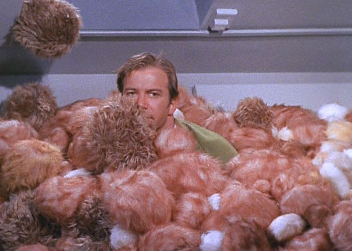 'Star Trek's' Famous "Tribble" Episode Was a Sweet Ripoff