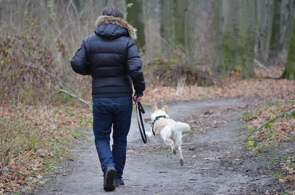 Dog Study: Exercising With Pups Puts Workout Goals Within Reach