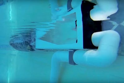 These Automatic Pool Cleaners Are Ingenious, Affordable, & Eco-Friendly