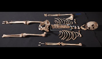 Cheddar Man DNA Analysis Reveals First Britons Weren't White Guys