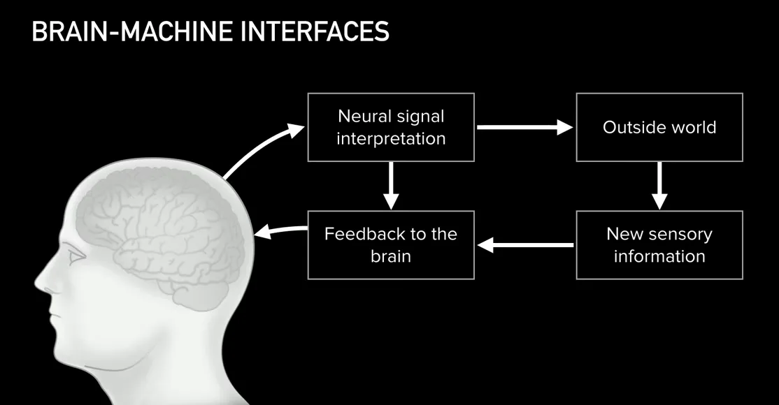 Neuralink: "Classic" 2003 Paper Is the Foundation for Elon Musk's Device