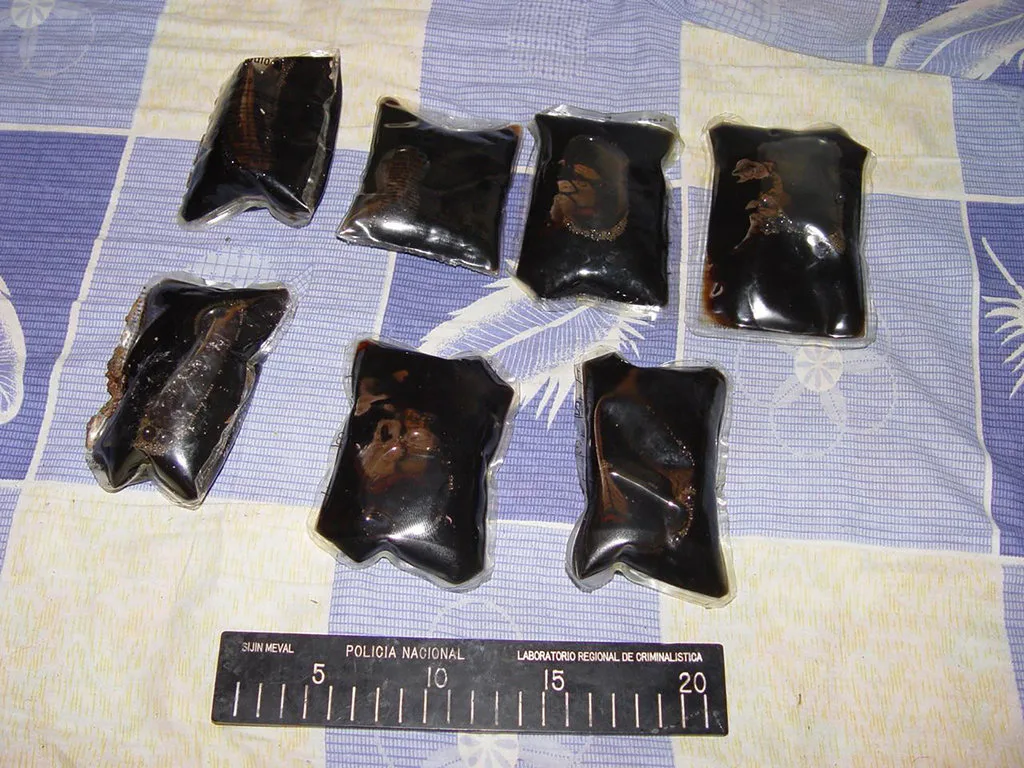 Colombian Veterinarian Smuggled Heroin Inside Puppies, Alleges DEA