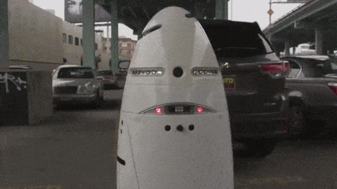 Crime-Fighting Robots on Patrol in Silicon Valley