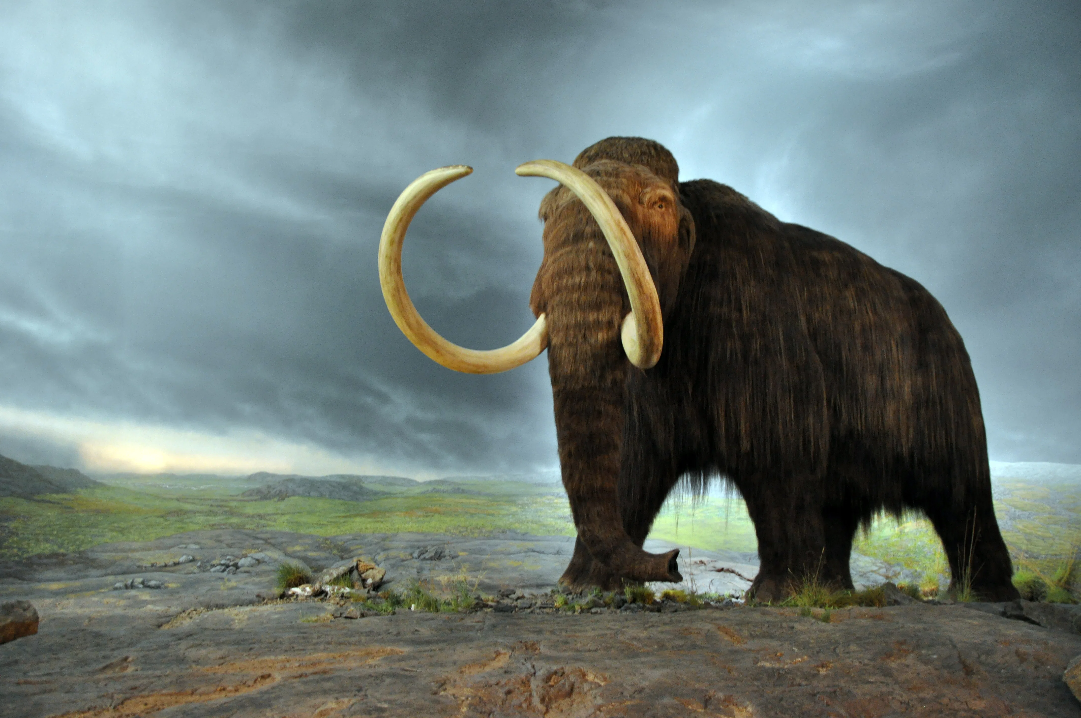 New Group of Ancient Humans Are "Missing Link" in Native American Origins
