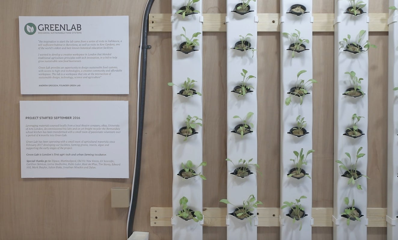 How London's Green Lab Is Using Technology to Help Feed the Planet