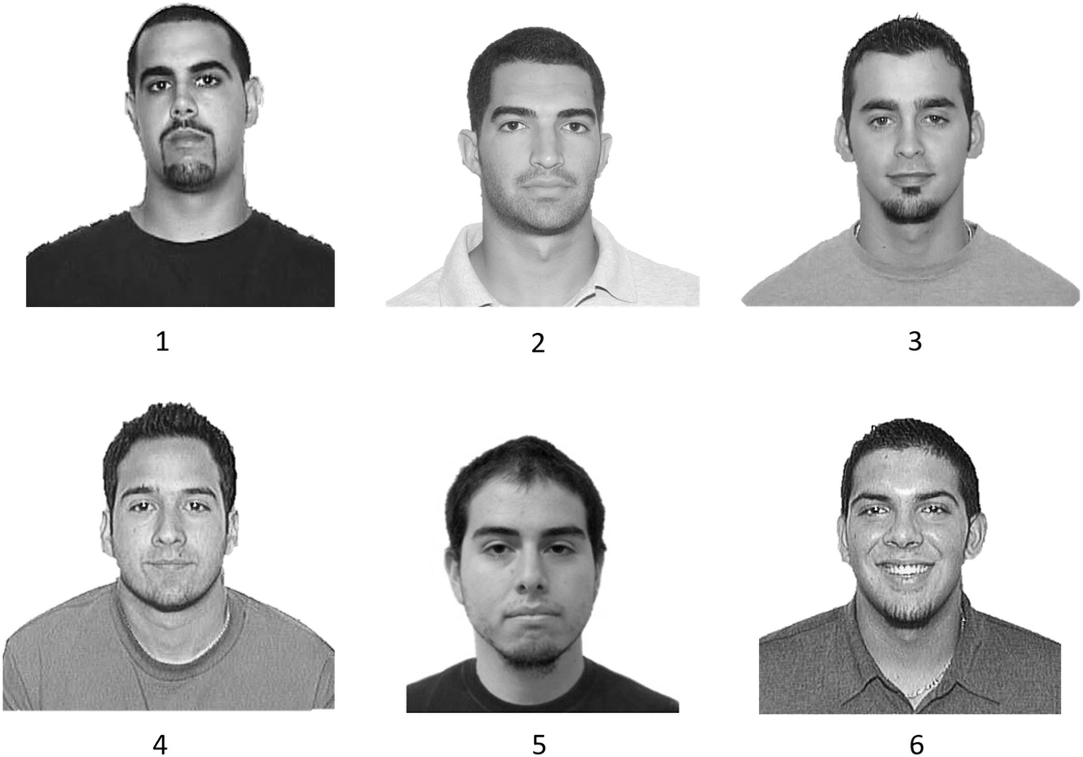 Study Examines Marijuana's Effect on Eyewitness Testimony and Memory