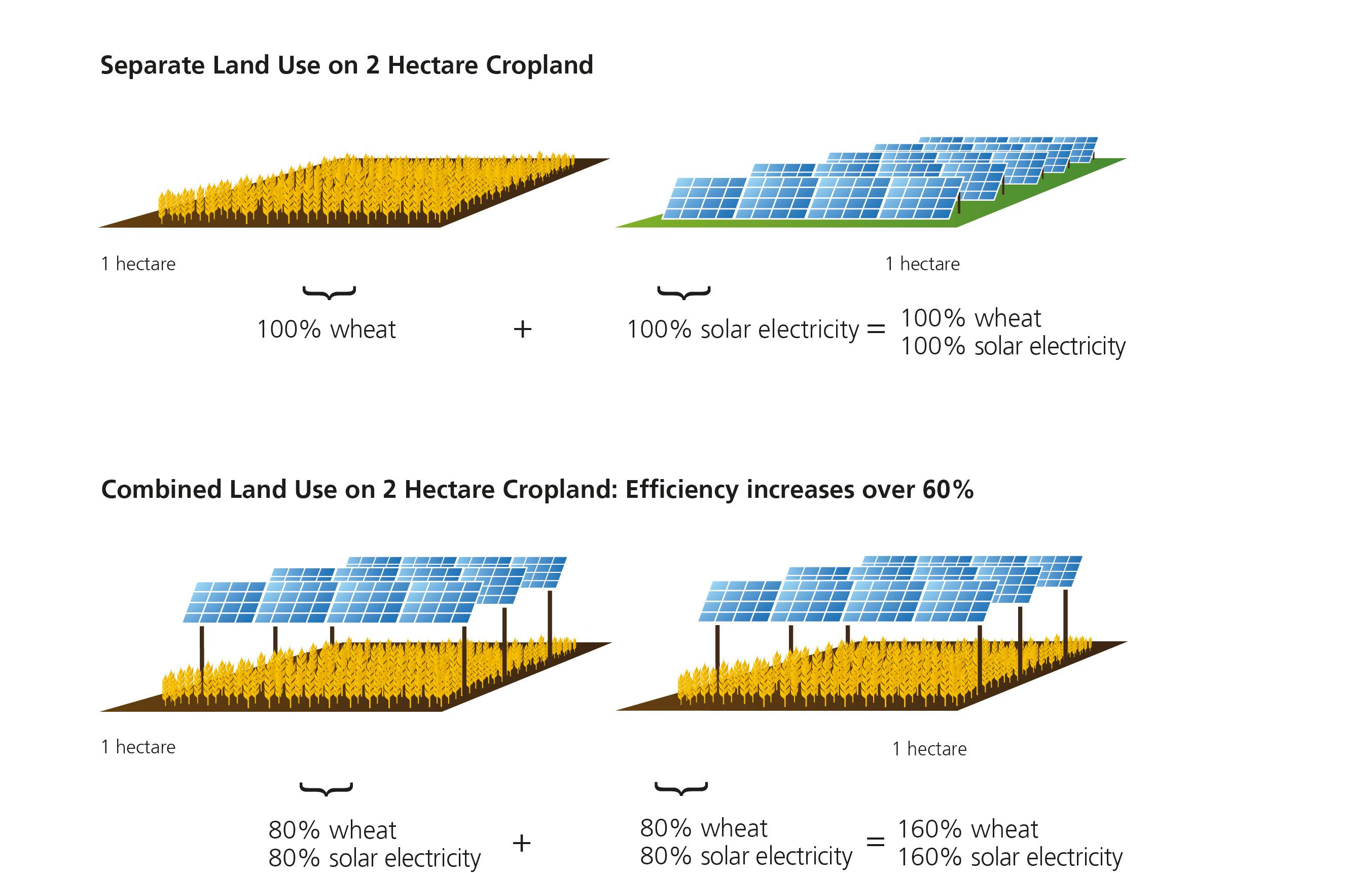World’s First Solar Airport Has Found a Great Use for the Land Underneath