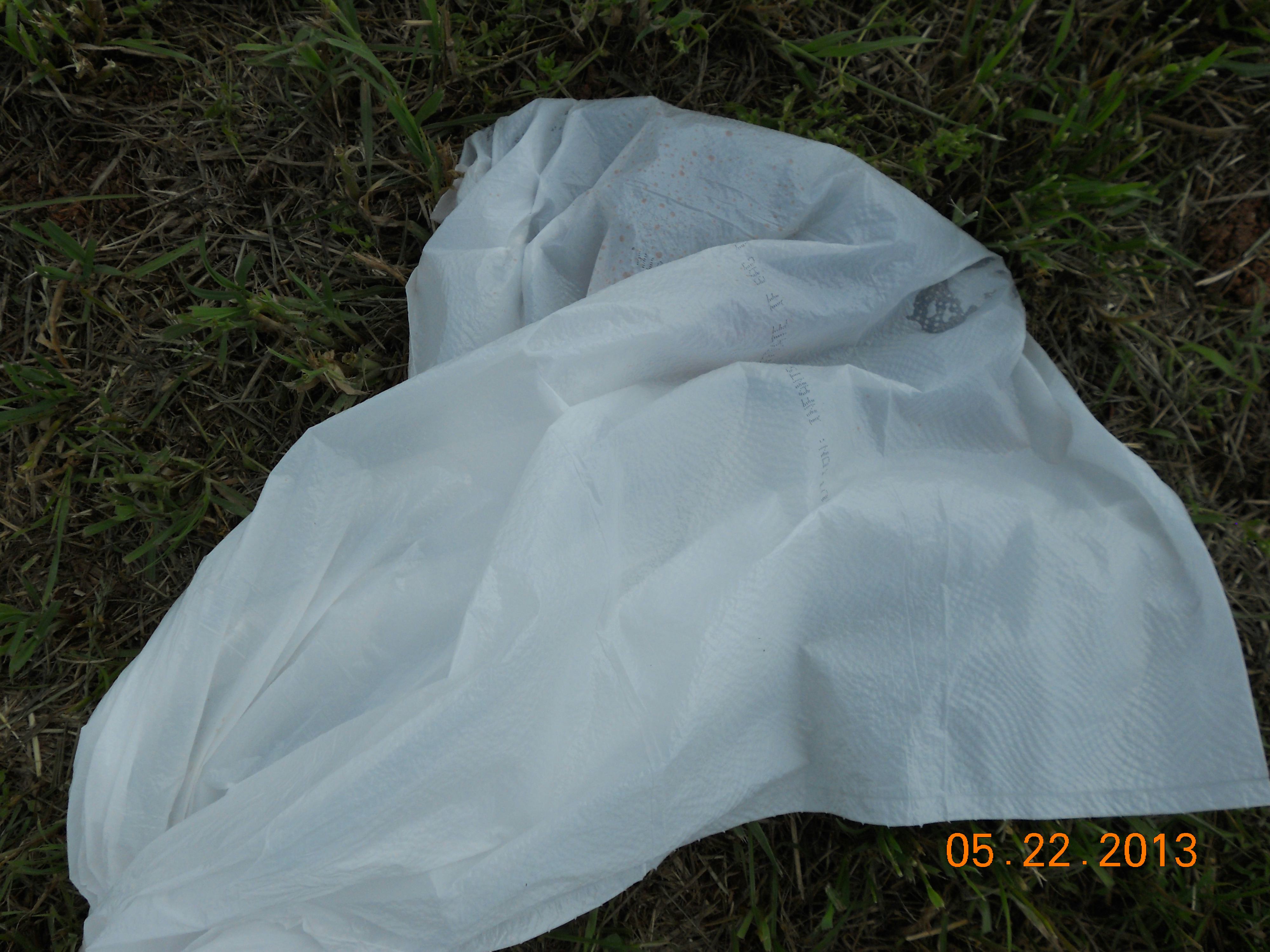 Forensic Scientists Use Pigs to See How Young People's Corpses Decompose