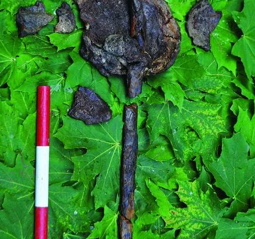 Ancient Swedes Mounted Human Heads on Stakes, Say Archeologists