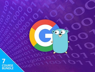 The Complete Google Go Developer Master Class Bundle