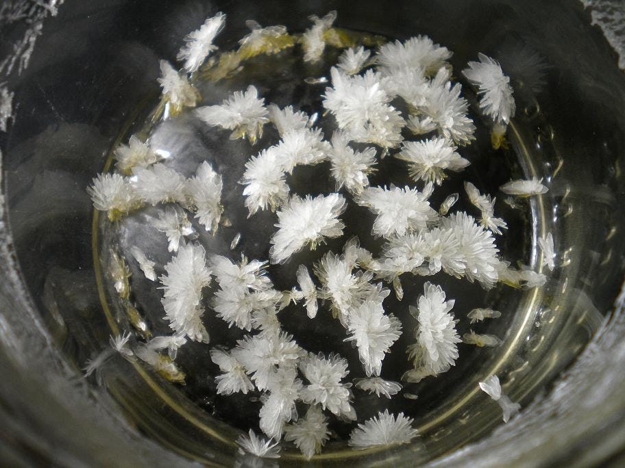 Do Our Brains Produce DMT? Natural Source of Drug Discovered in Mammals