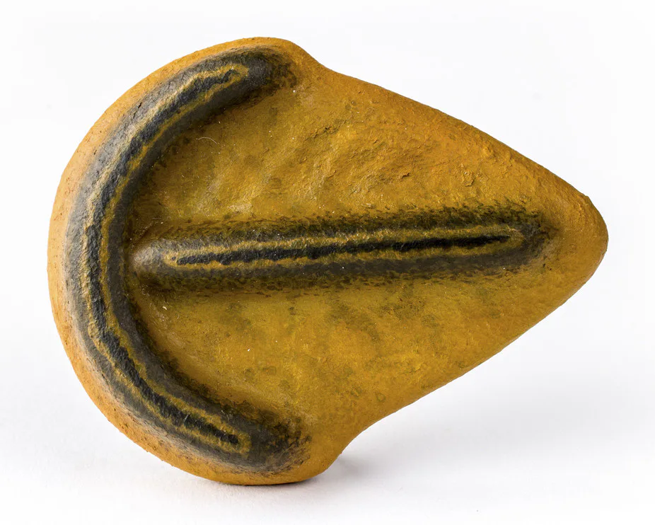 These Scientists Reverse Engineered 500-Million-Year-Old Mystery Fossils