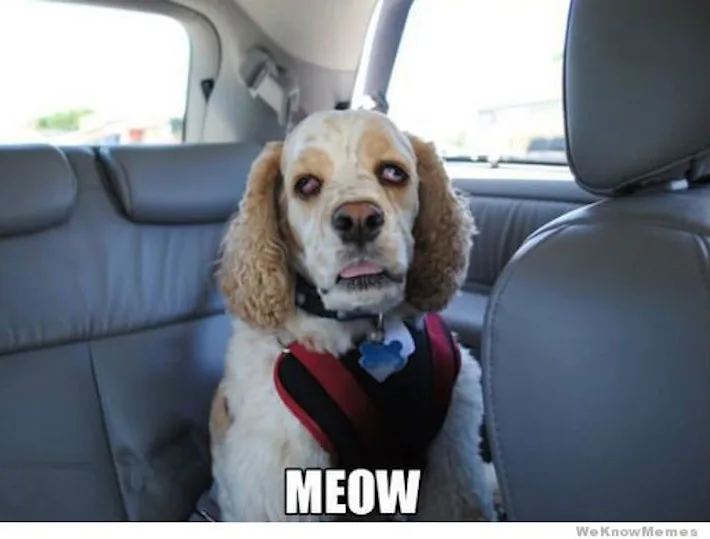 24 Happy 420 Memes and GIFs for Those Observing National Weed Day