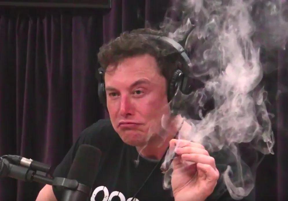 Neil deGrasse Tyson Defends Elon Musk Smoking Weed on Joe Rogan