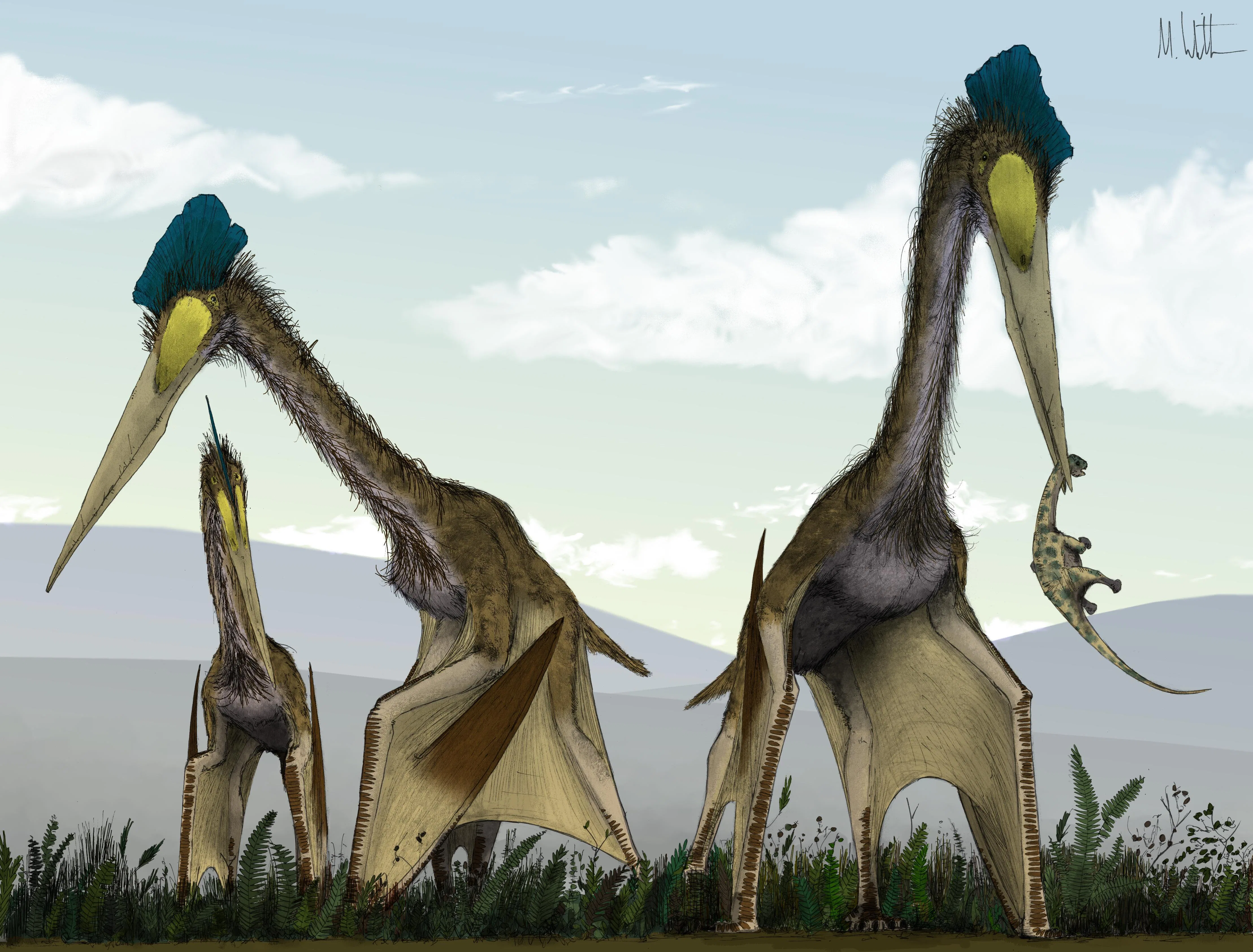 Pterosaurs Are Changing What We Know About Flight