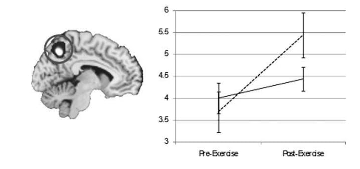 Dehydration Study Shows How Summer Heat Can Lead to Bad Decision Making