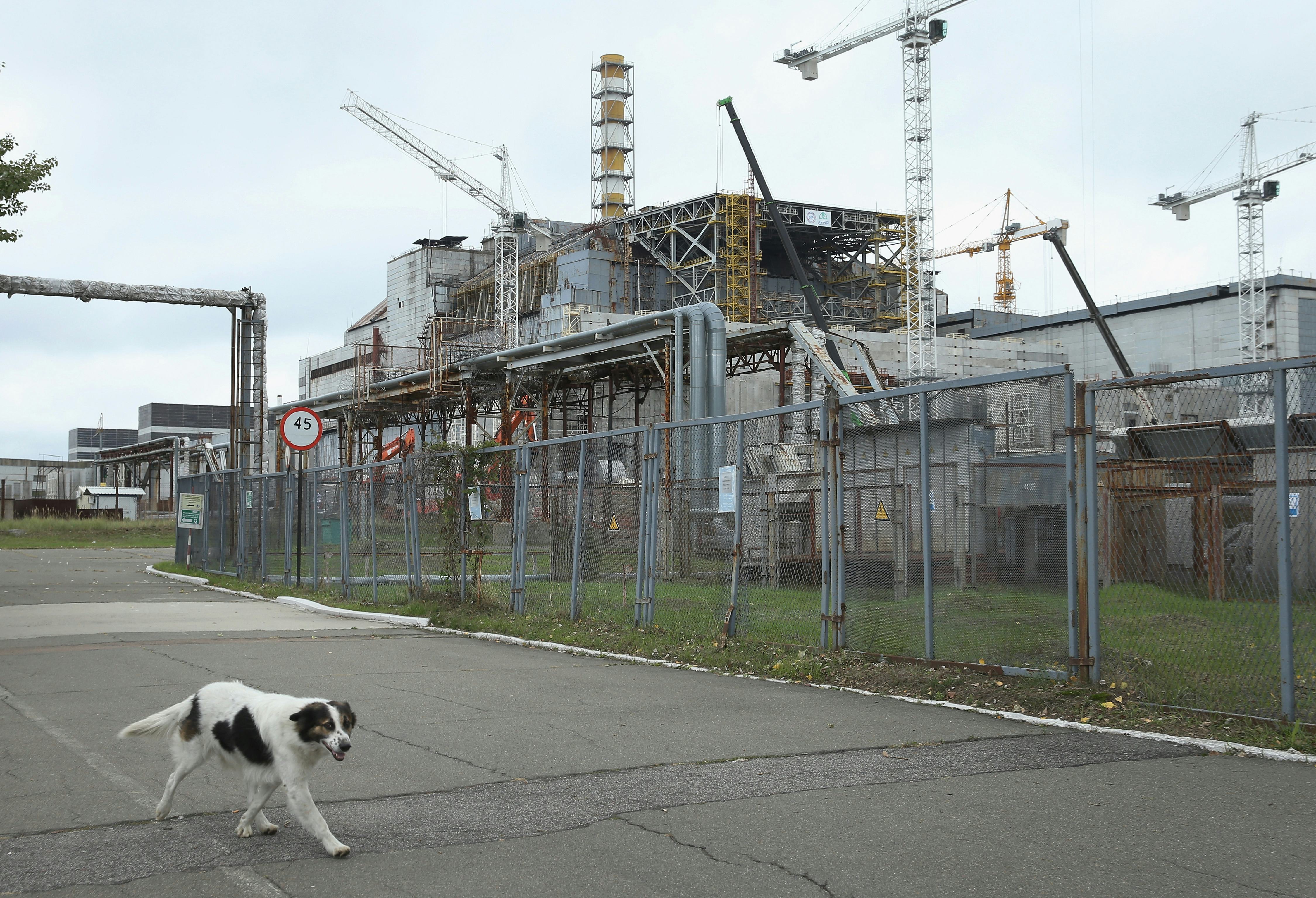 Is Chernobyl Safe? It Depends How You Define "Safe"