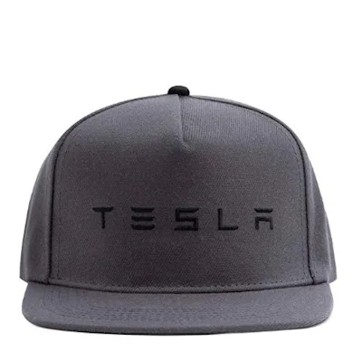 Extremely Cool Tesla Gear We're Drooling Over