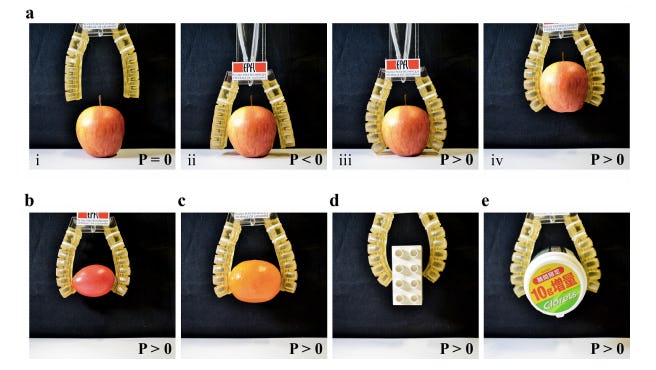 Edible Robots Could Explore Exotic Places and Crawl Onto Your Plate