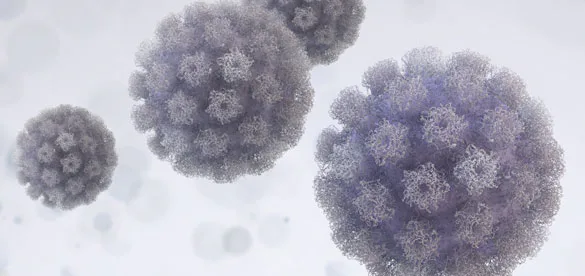 HPV: Study Explains Why the Vaccine Has "Actually Exceeded Expectations"
