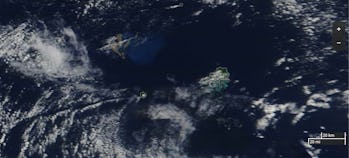 A Mass of Floating Pumice Rocks Could Help Save the Great Barrier Reef