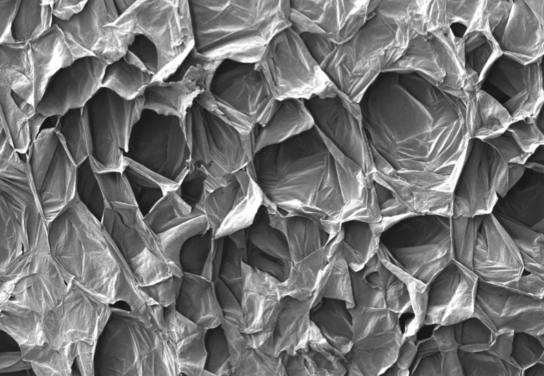 Mad Scientist Invents Franken-Fruit, Turns Apples Into Ears