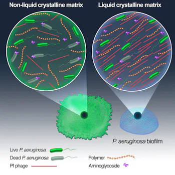 This Discovery Could Lead to New Lifesaving Treatments for Cystic Fibrosis