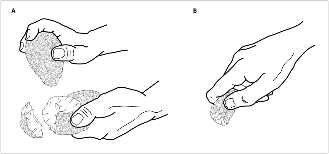 Neanderthal Bone Scars Reshape What We Know About Their Lives