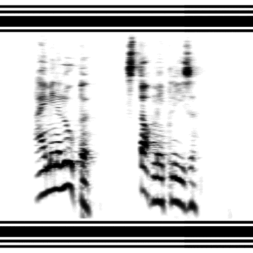 PhonoPaper Makes GIFs for Amateur Cryptologists