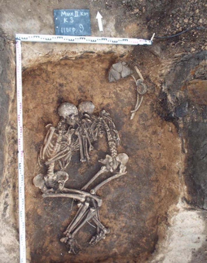 Scientists Sequence Oldest Bubonic Plague Genome From Russian Skeletons