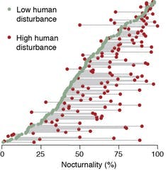 Animals Are Returning to the Cover a Night for an Ancient Reason