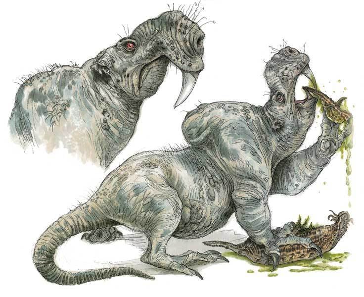 Ranking the 10 Freakiest Creatures in 'Star Wars' History