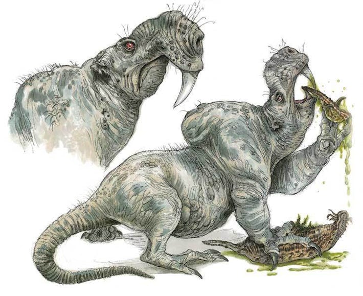 Ranking the 10 Freakiest Creatures in 'Star Wars' History