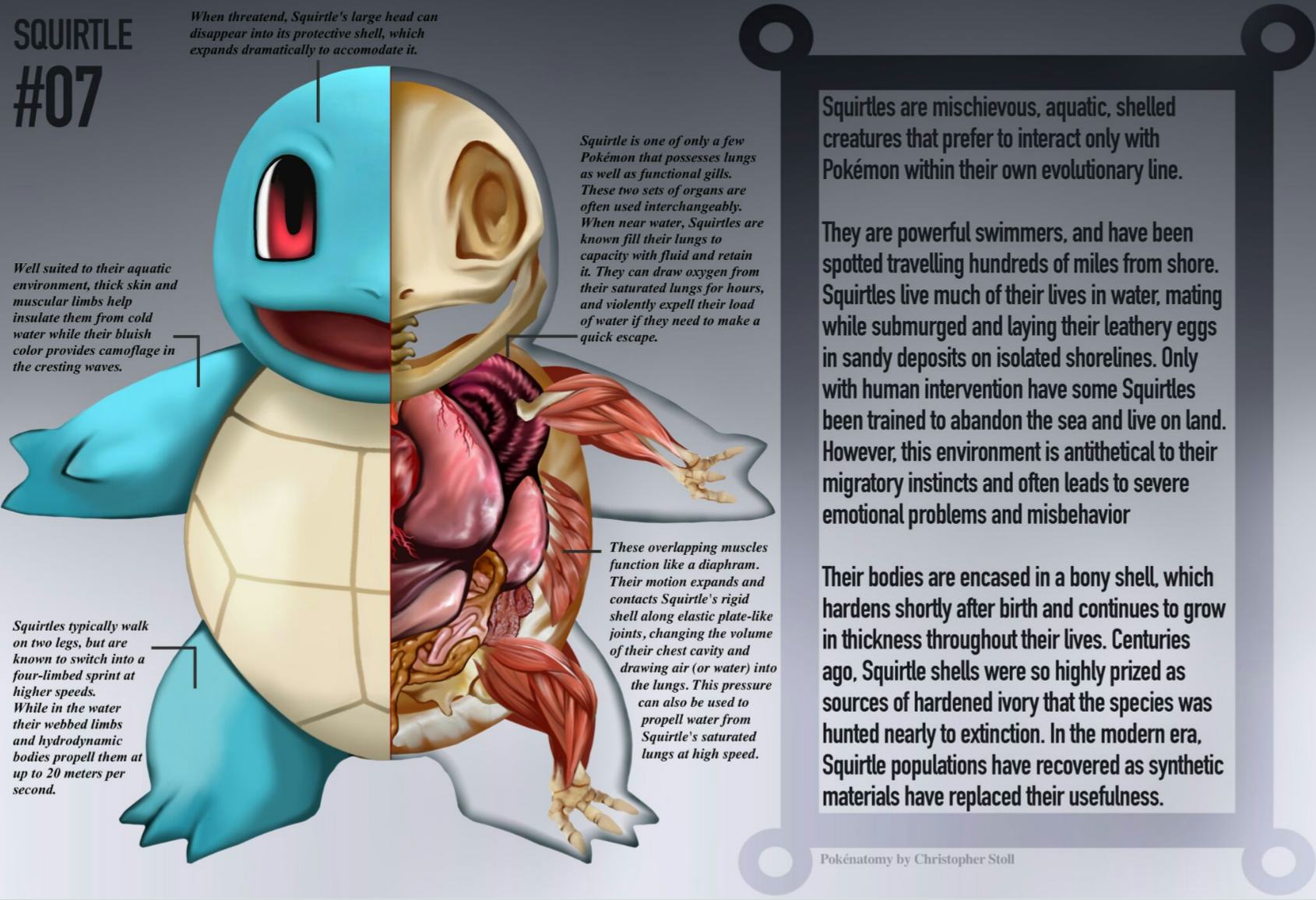 Pokéanatomy Imagines the Innards of Pokémon