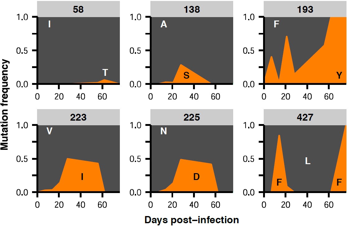 Flu Evolution: How Scientists Use Genome Sequencing to Forecast the Future