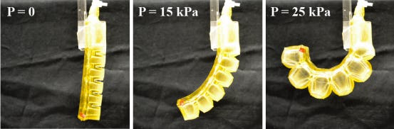 Edible Robots Could Explore Exotic Places and Crawl Onto Your Plate