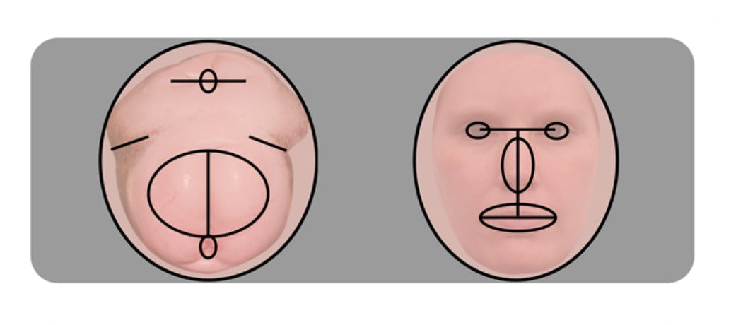 Evolutionary Biology Says Your Face Evolved to Look Like a Butt